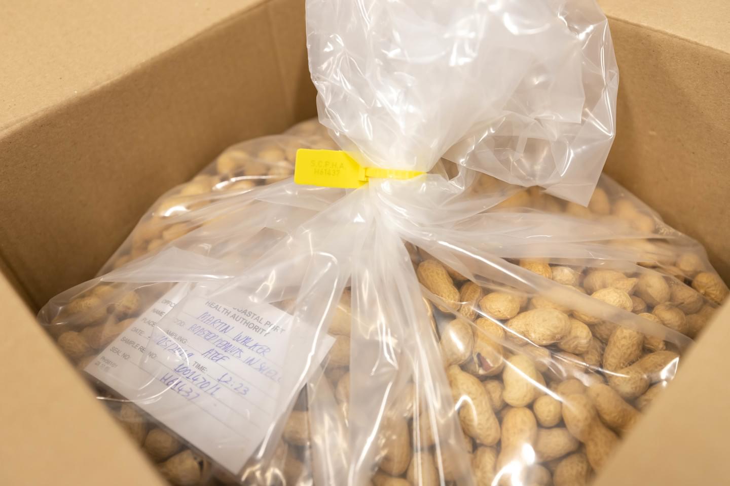 Peanut sample, labelled with the bag sealed